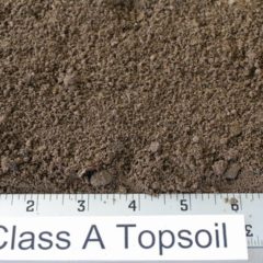 BD White Top Soil