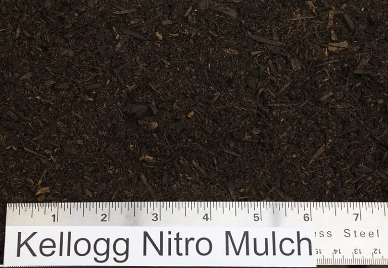 Amendments and Decorative Products – BD White Top Soil